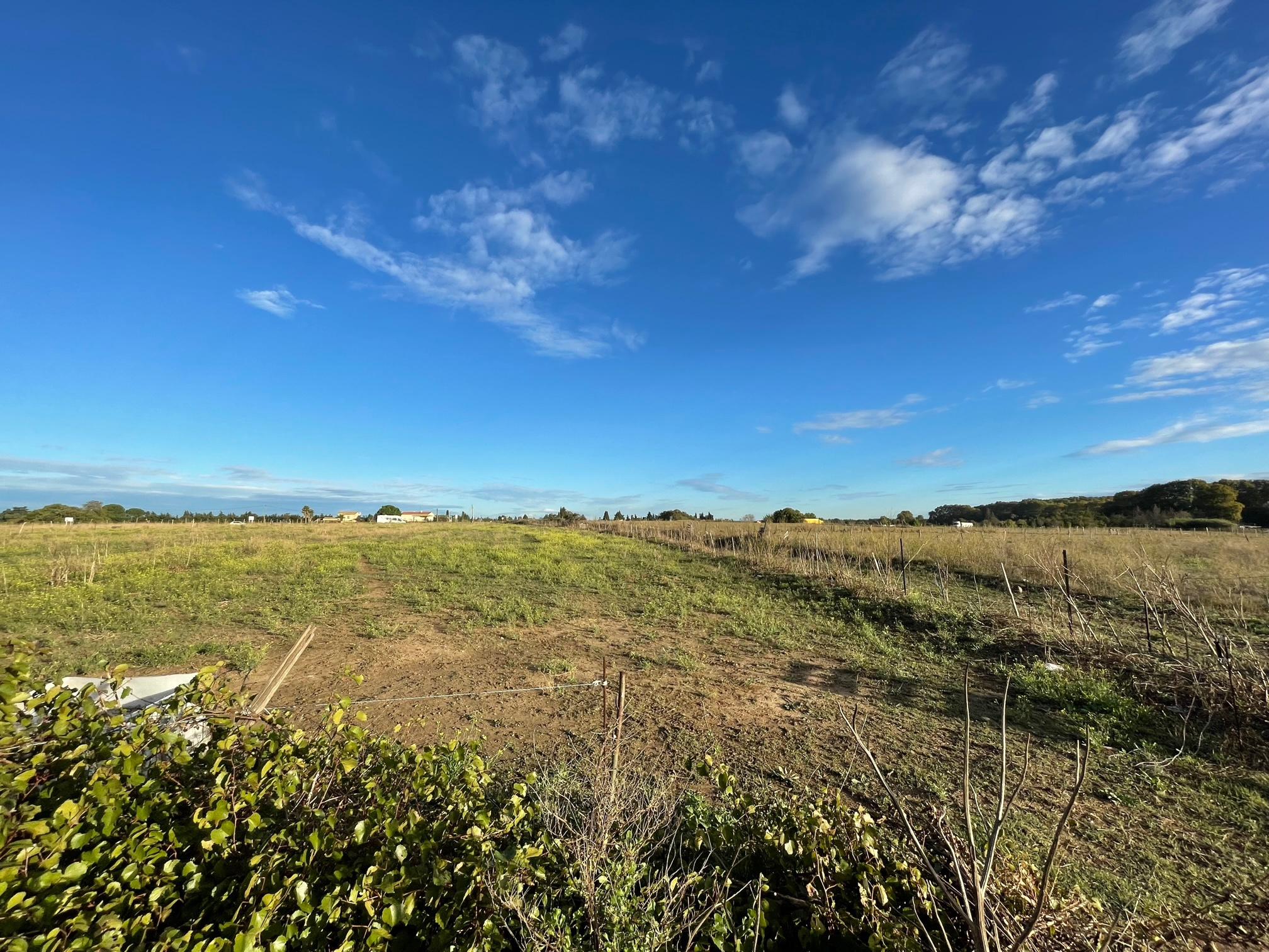 Terrain à bâtir 642 m2 Divisible – Prix en direct - Utopia Immobilier